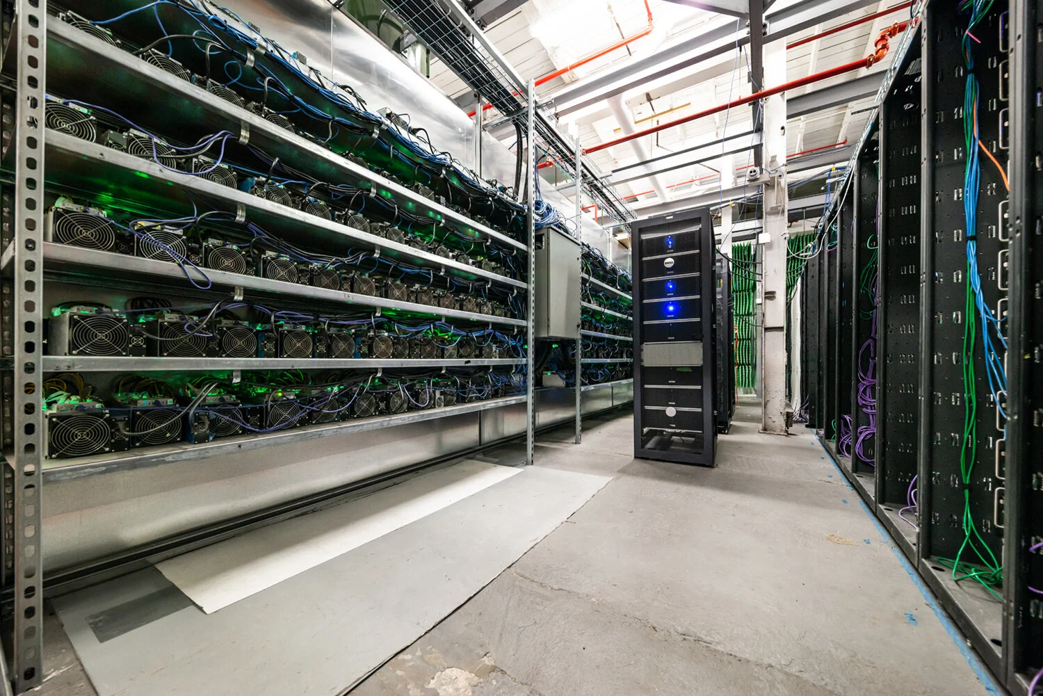 Services — Zafra, LLC