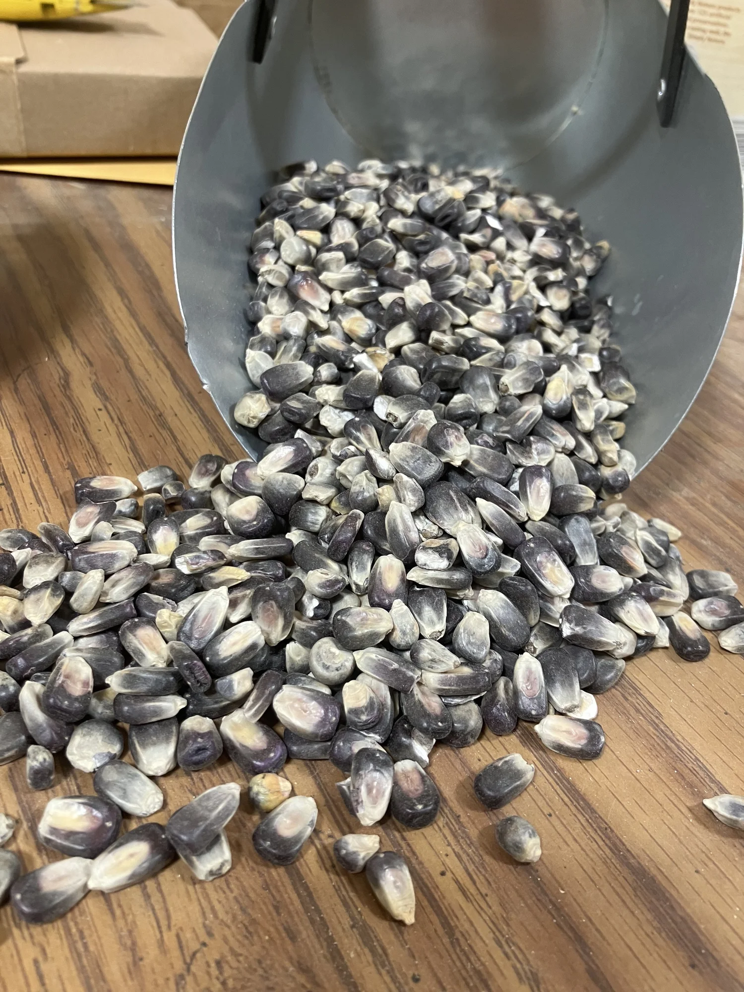 Shop — Seneca Grain & Bean