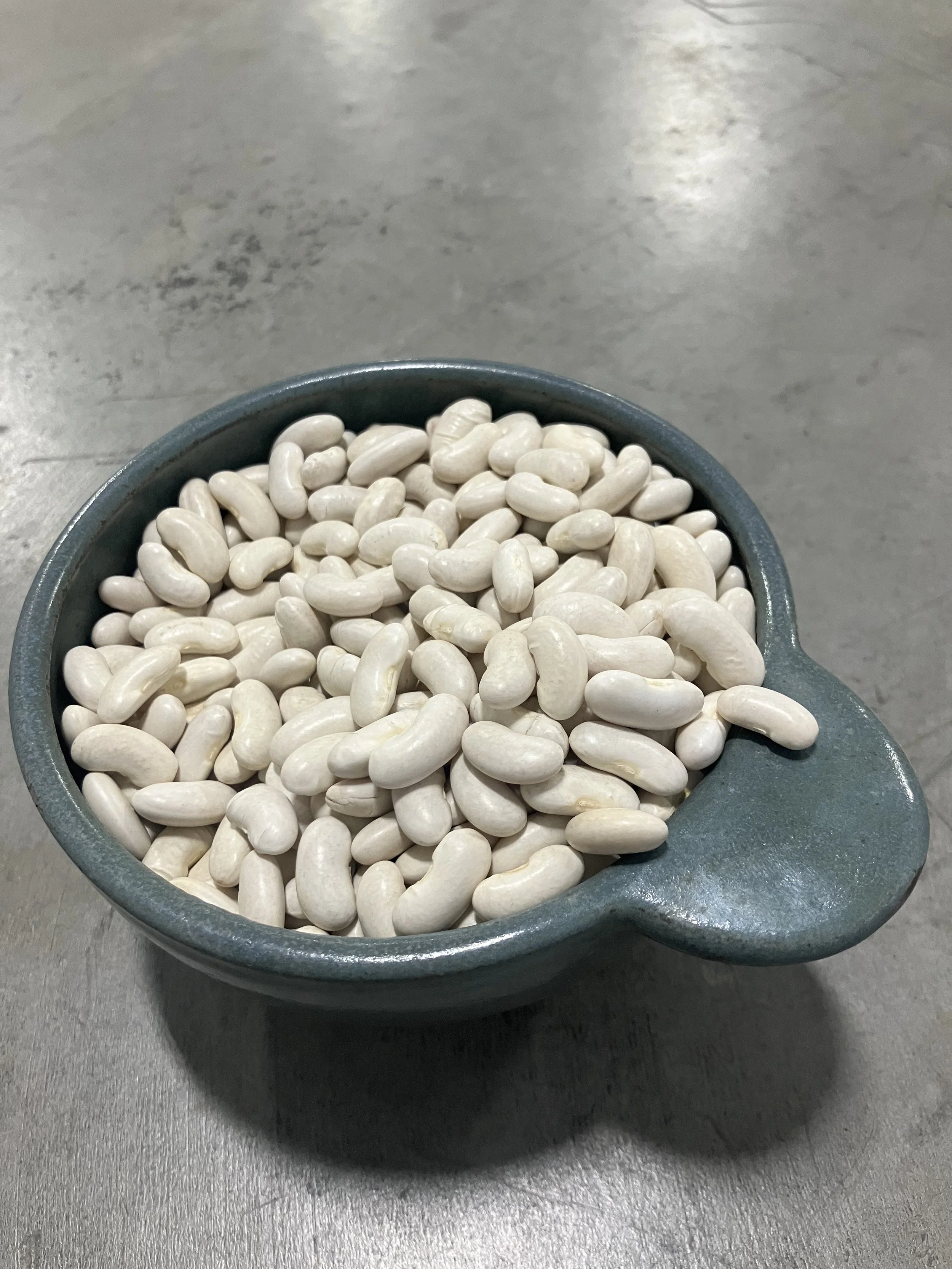 Shop — Seneca Grain & Bean