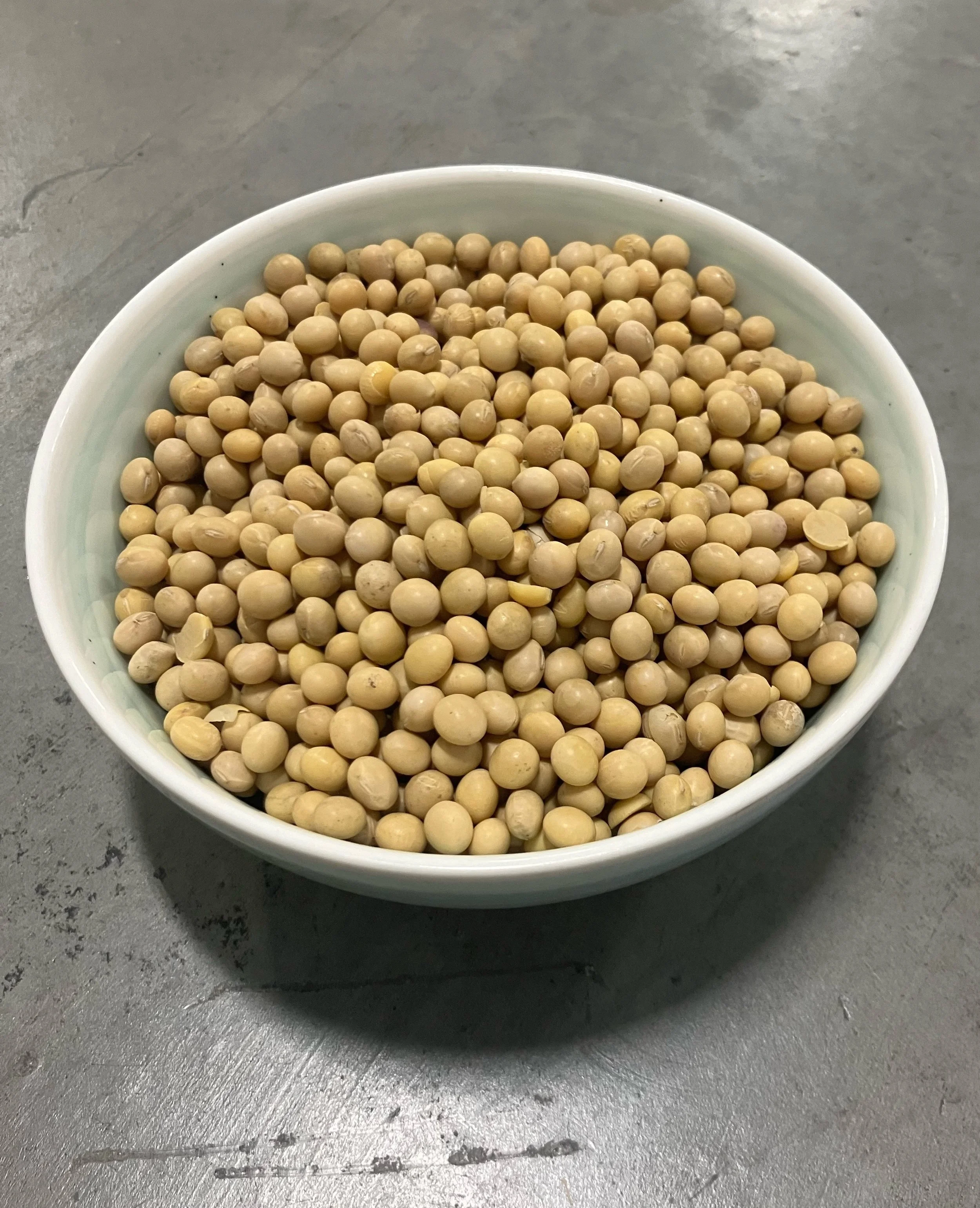 Shop — Seneca Grain & Bean