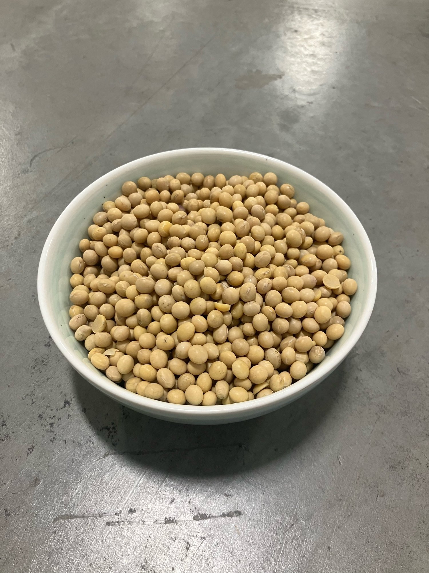 Shop — Seneca Grain & Bean