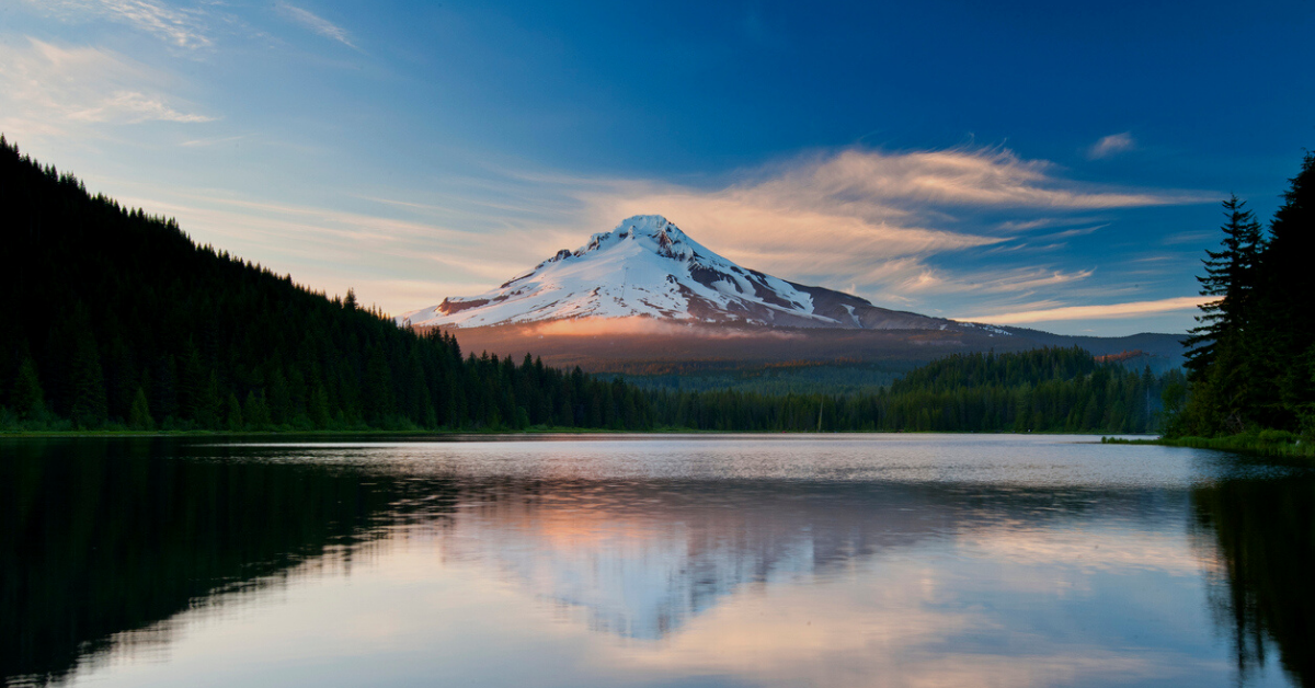 Making net-zero a net positive — Paradigm Consulting Asia