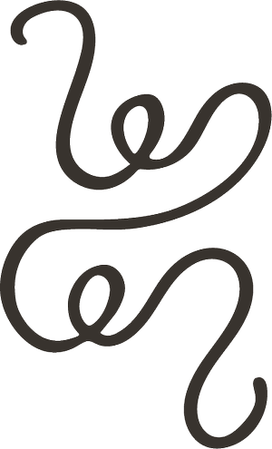 Web Weavers Design Studios