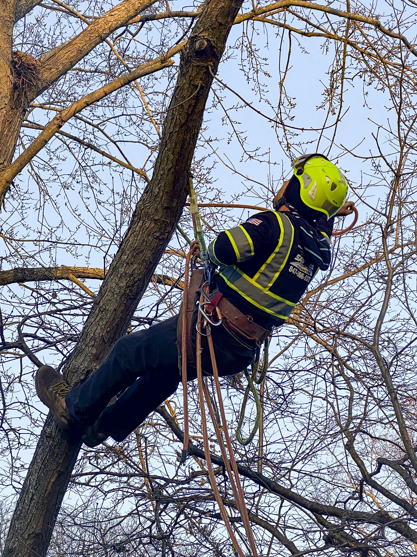 Sawvell Tree Service