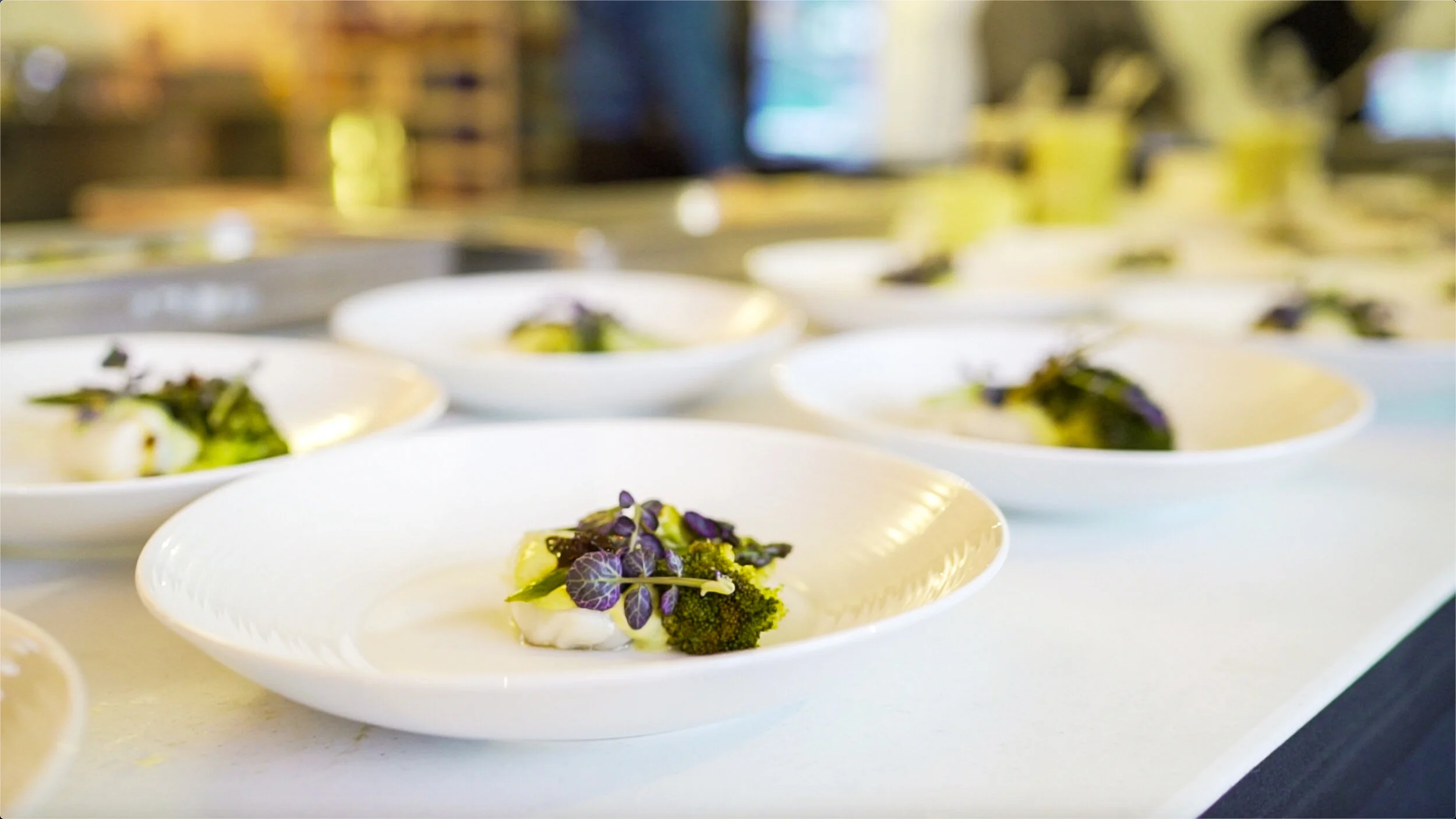 Gallery 2 — Field To Table