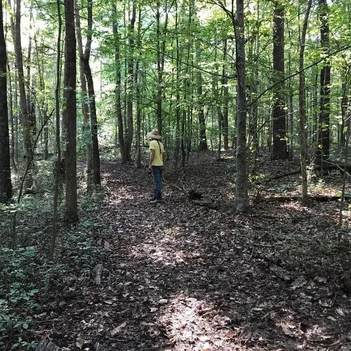 Forest Therapy Guide Training Retreat in North Carolina — The Forest ...