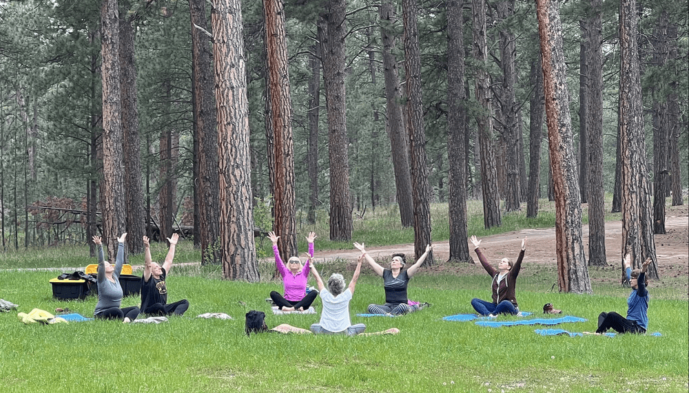 The Forest Therapy School - Become a Certified Forest Bathing Guide