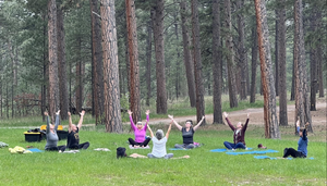 The Forest Therapy School - Become a Certified Forest Bathing Guide