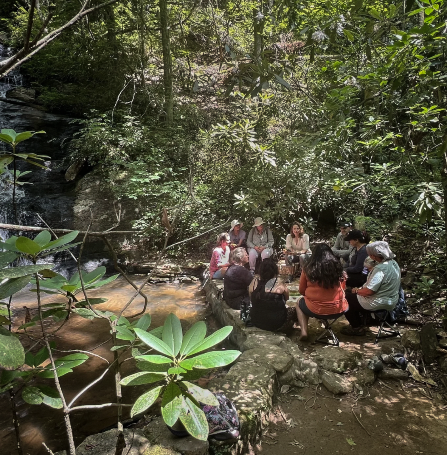 The Forest Therapy School - Become a Certified Forest Bathing Guide