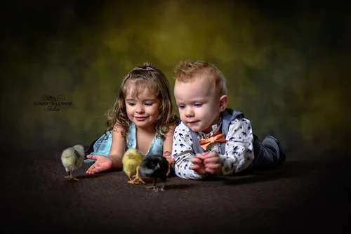 Hatch A Chick ™ | Chicken Hatching Kit