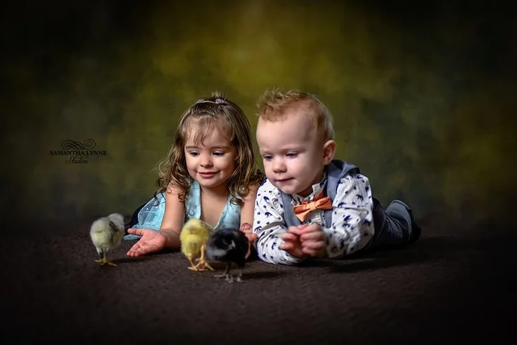 Hatch A Chick ™ | Chicken Hatching Kit