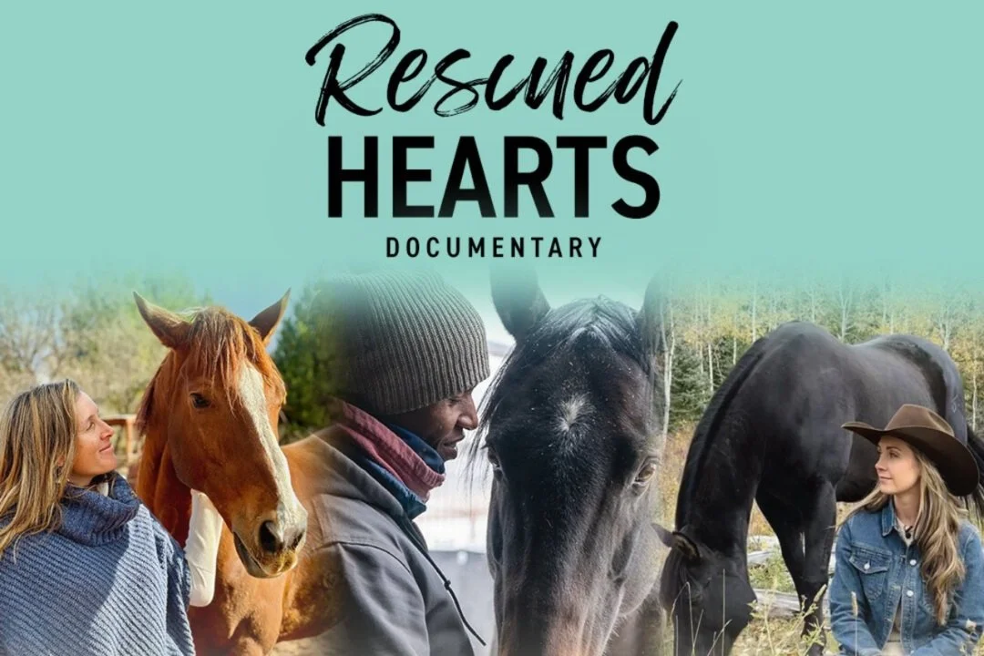 Events — Free Spirit Stables