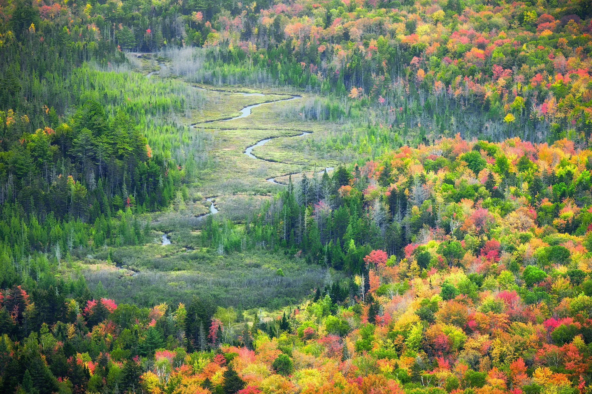 Editing Tips for Fall Foliage Photographs — BlueHour Photo Ventures