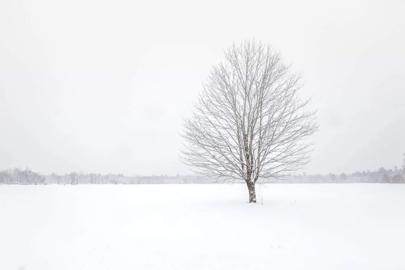 A Guide for Winter Photography — BlueHour Photo Ventures