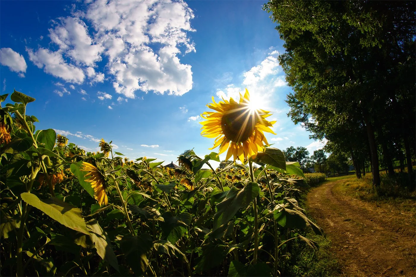 Workshops — BlueHour Photo Ventures