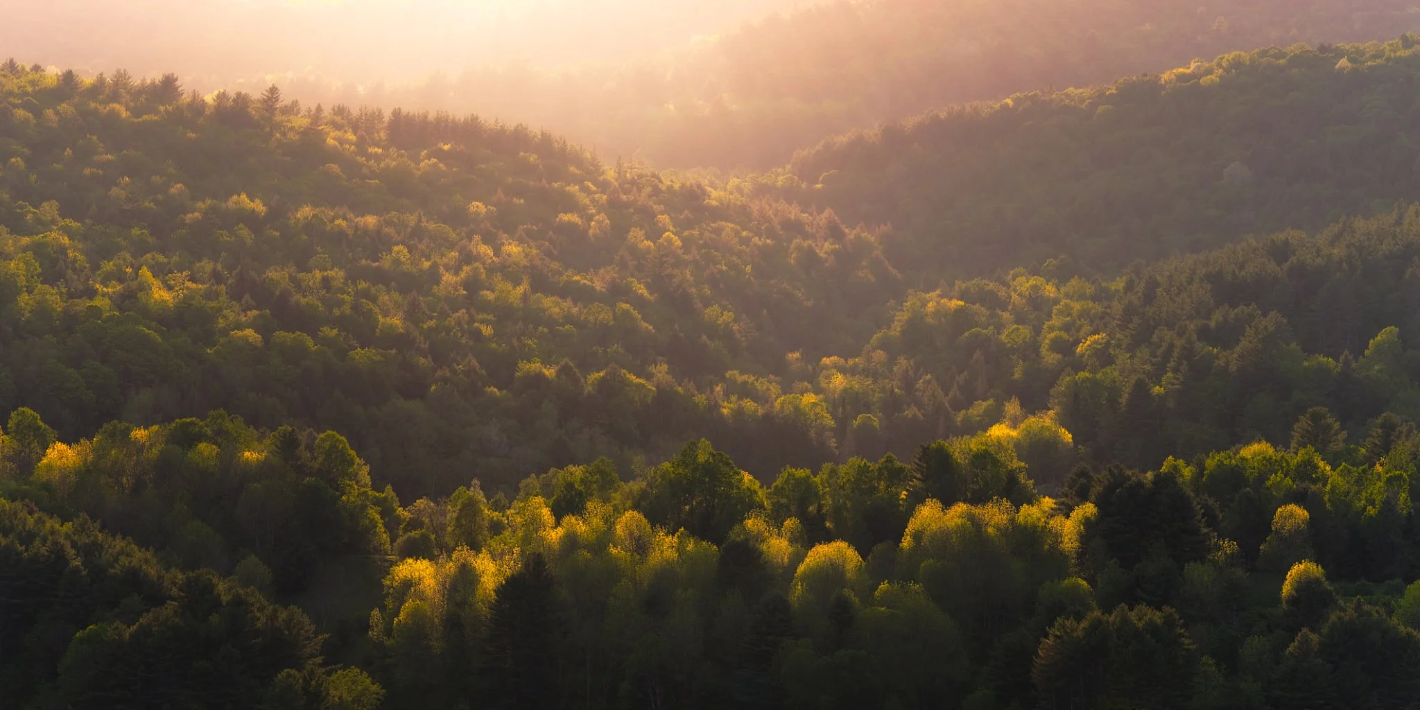 Editing Tips for Fall Foliage Photographs — BlueHour Photo Ventures