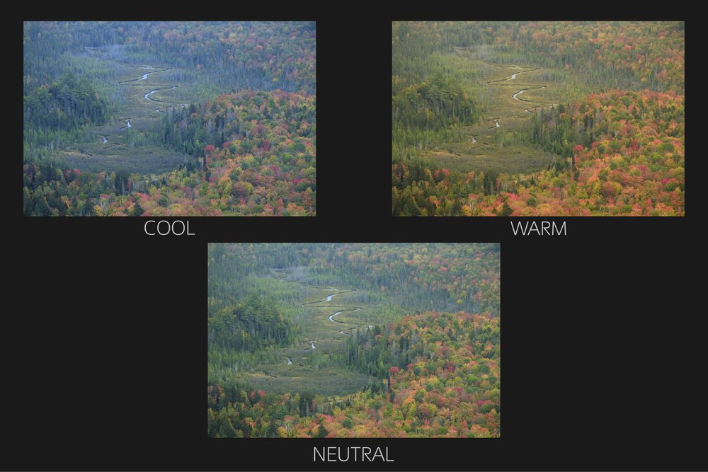 Editing Tips for Fall Foliage Photographs — BlueHour Photo Ventures