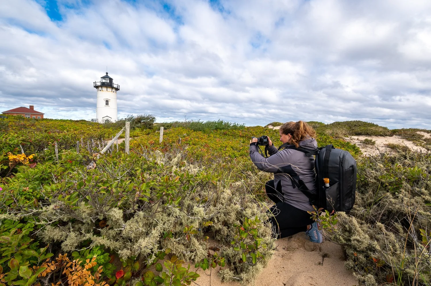 Fall on Cape Cod — BlueHour Photo Ventures