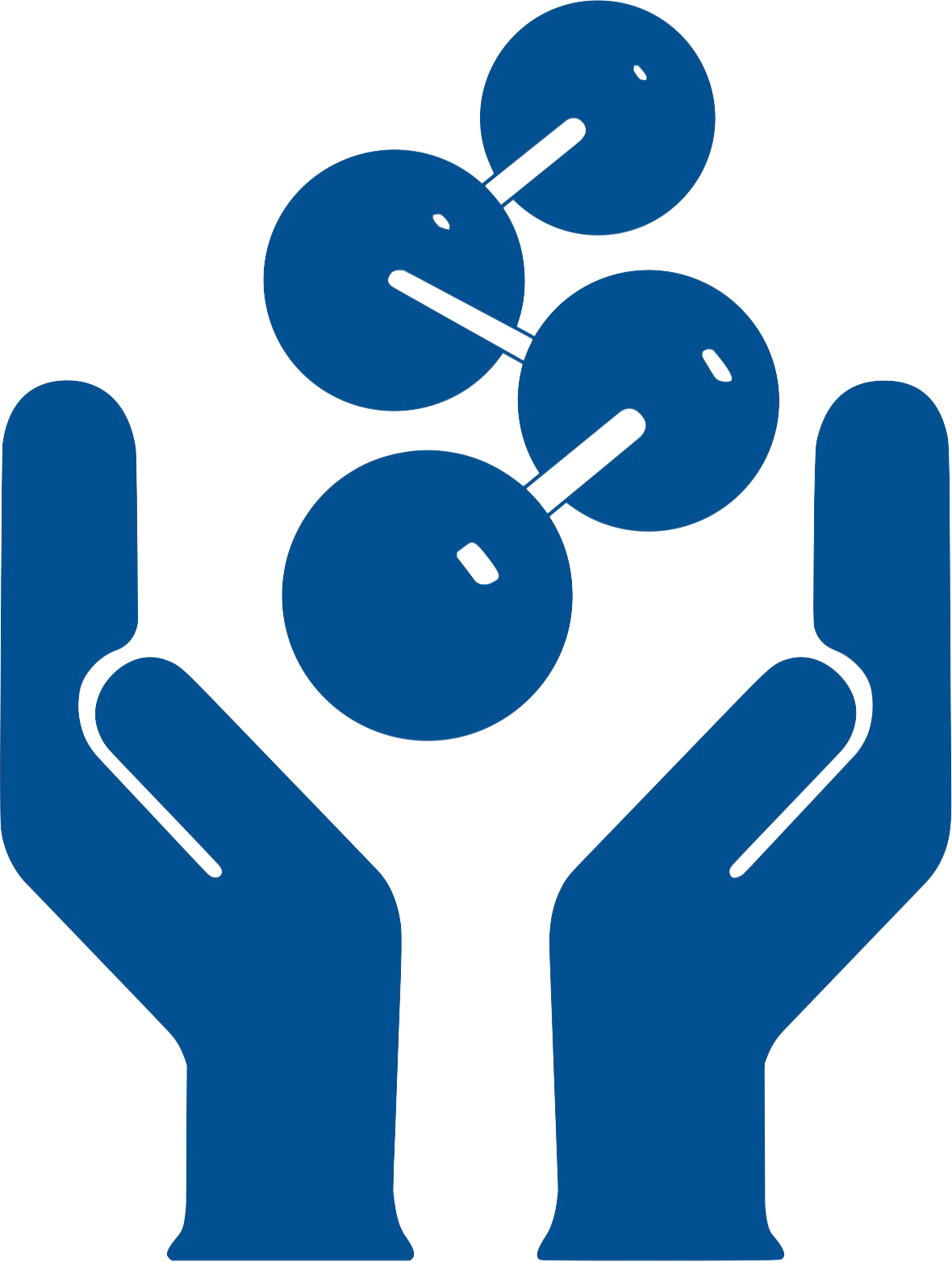 Certificates — HCH Highchem