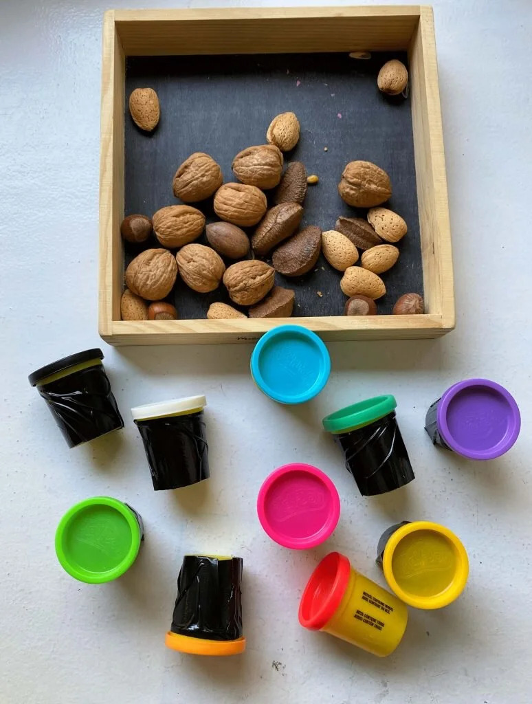 Sensory Exploration of Nuts and Seeds - using all 5 senses — Learning ...