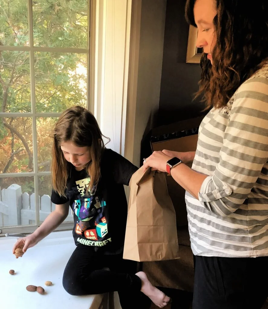 Sensory Exploration of Nuts and Seeds - using all 5 senses — Learning ...