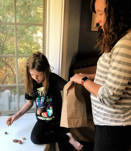 Sensory Exploration of Nuts and Seeds - using all 5 senses — Learning ...