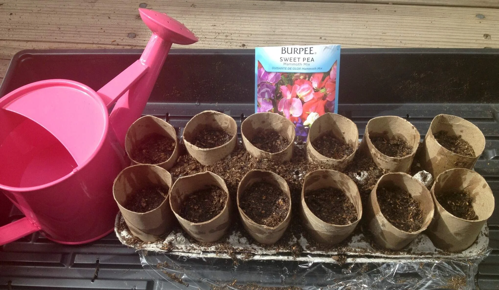 Sow Seeds with Toddlers using Recycled Materials — Learning Here and There