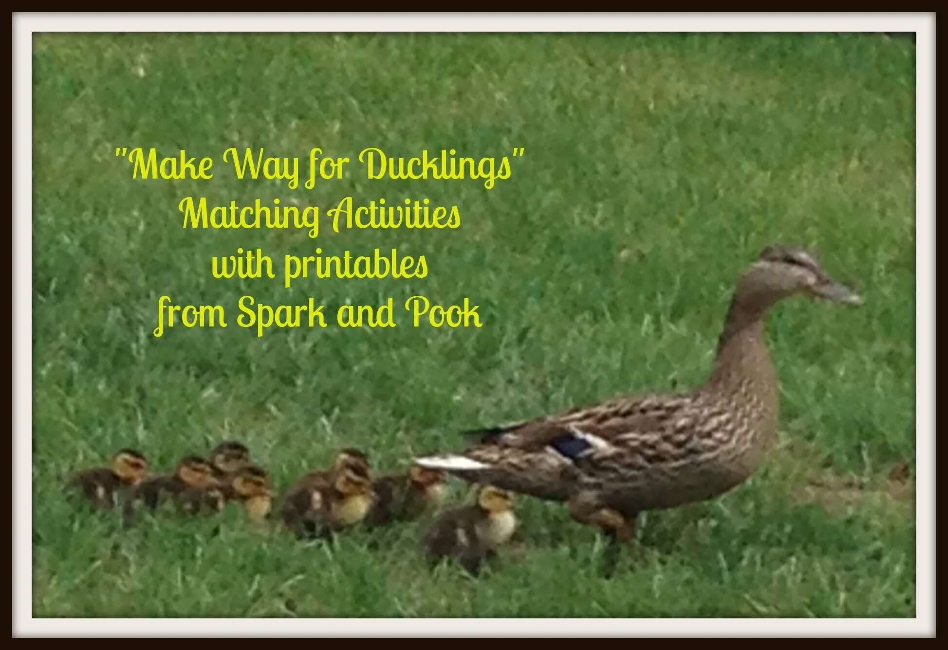 Make Way for Ducklings Matching Activities with Printables — Learning ...