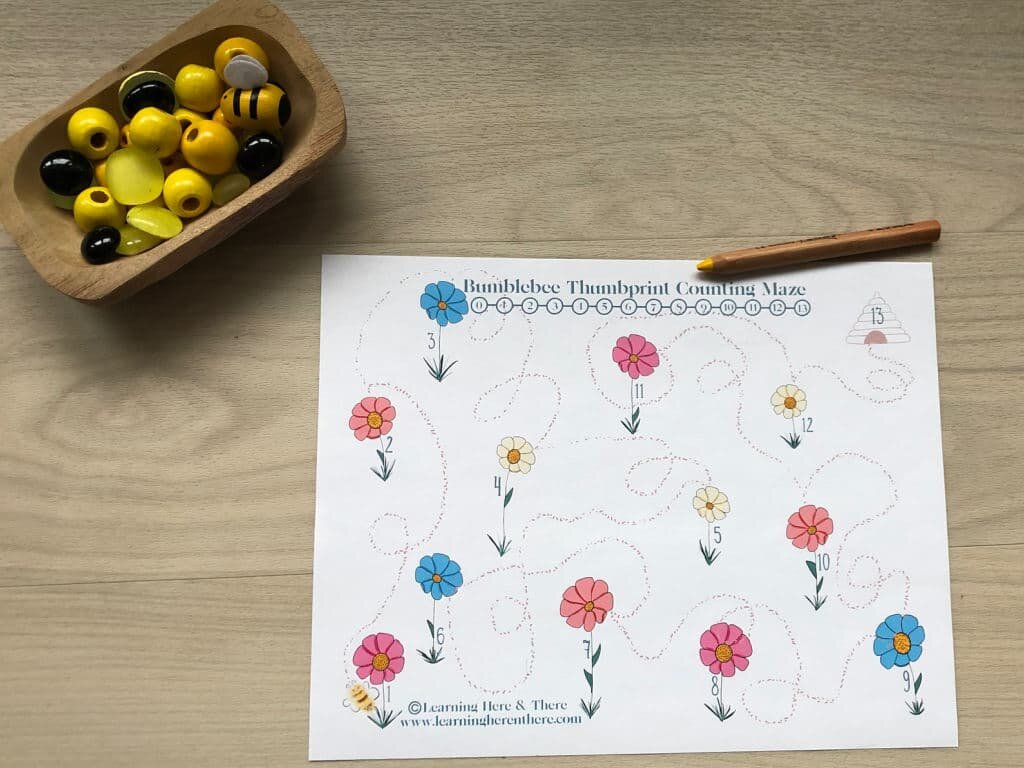Bumblebee Thumbprint Counting — Learning Here and There