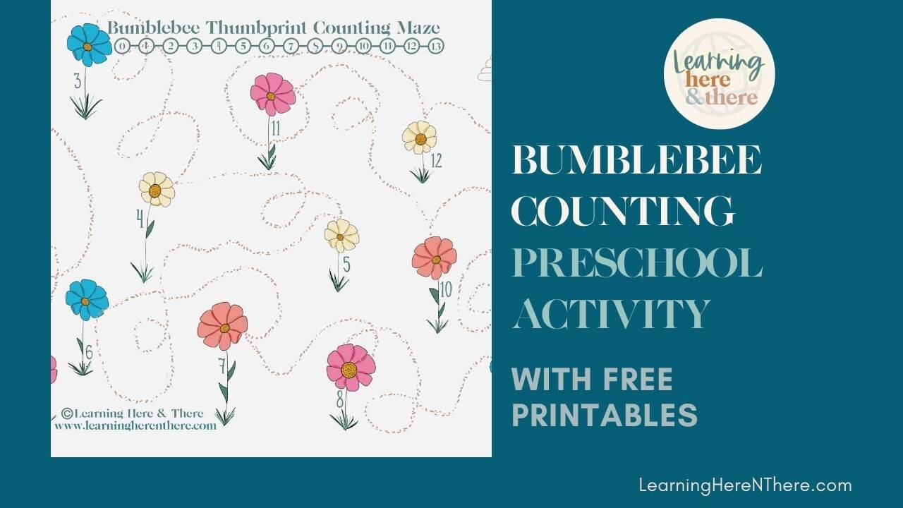 Bumblebee Thumbprint Counting — Learning Here and There
