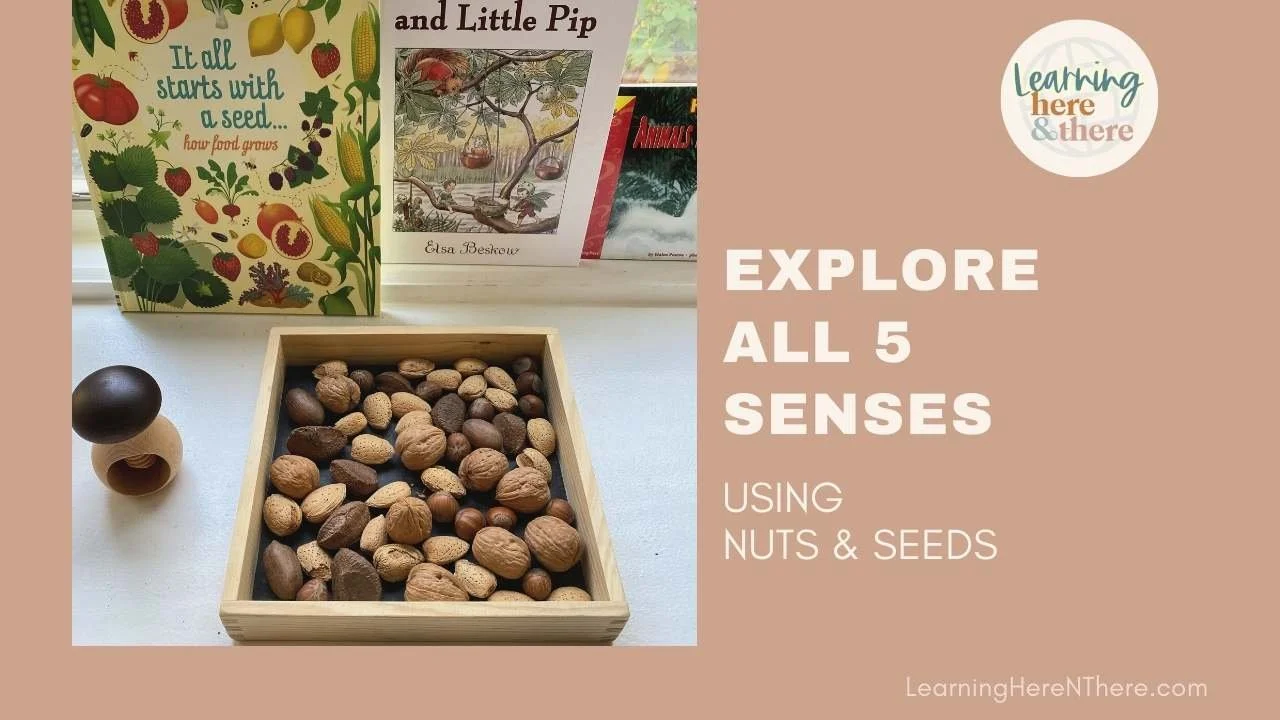 Sensory Exploration of Nuts and Seeds - using all 5 senses — Learning ...