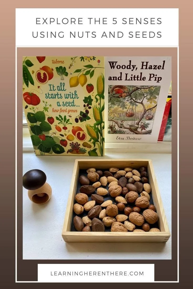 Sensory Exploration of Nuts and Seeds - using all 5 senses — Learning ...