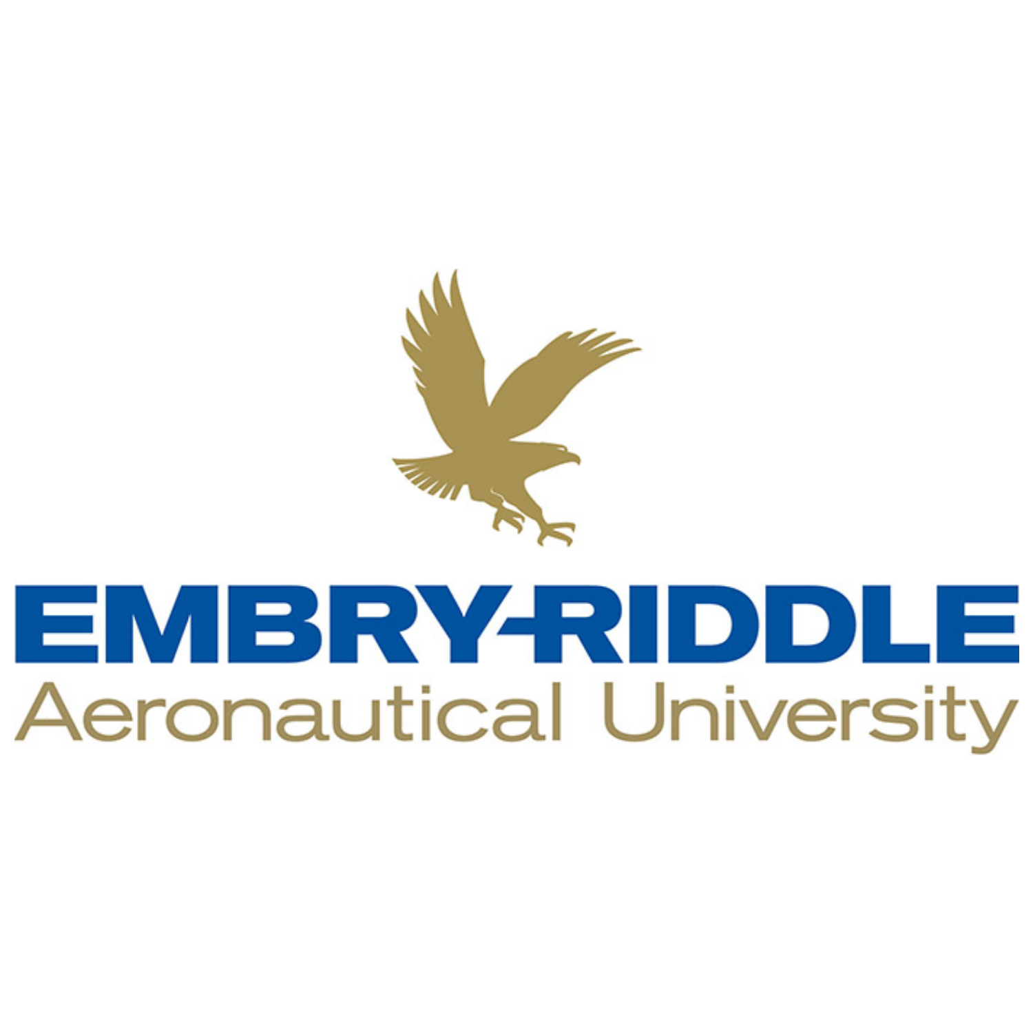 Study Florida - Study in the Sunshine state!