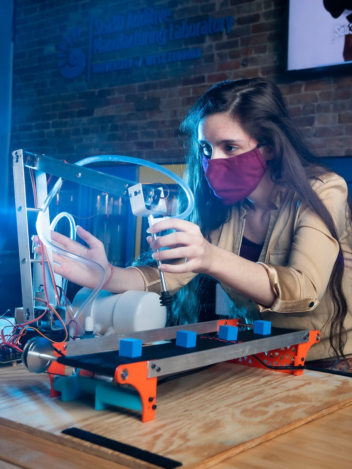 Study Florida - Study in the Sunshine state!