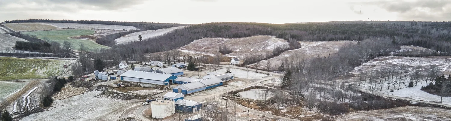 Fitec Featured Projects