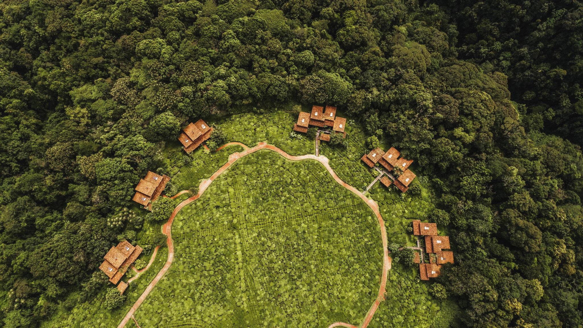 NYUNGWE NATIONAL PARK — Luxury Safari - Epic Road