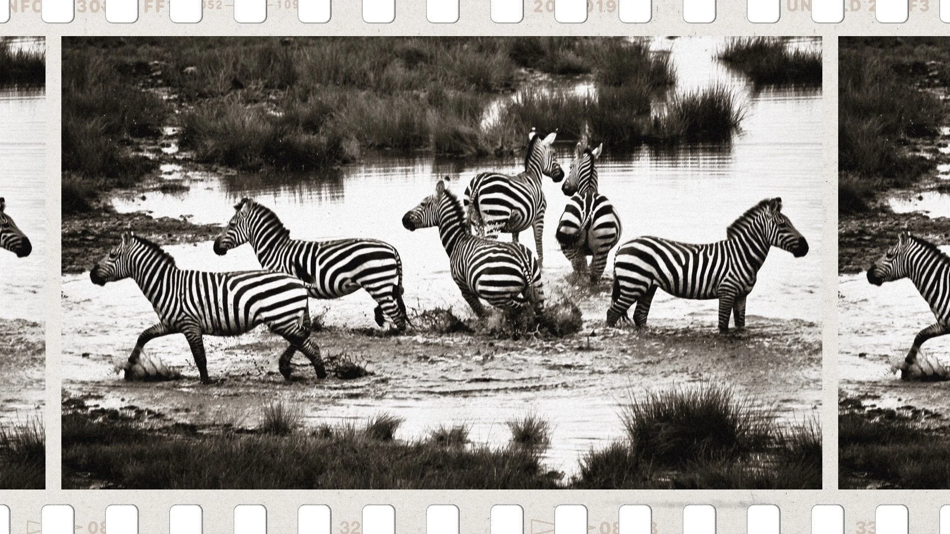 Top Ten Most Interesting African Tribes (That You Can Visit!) — Luxury ...