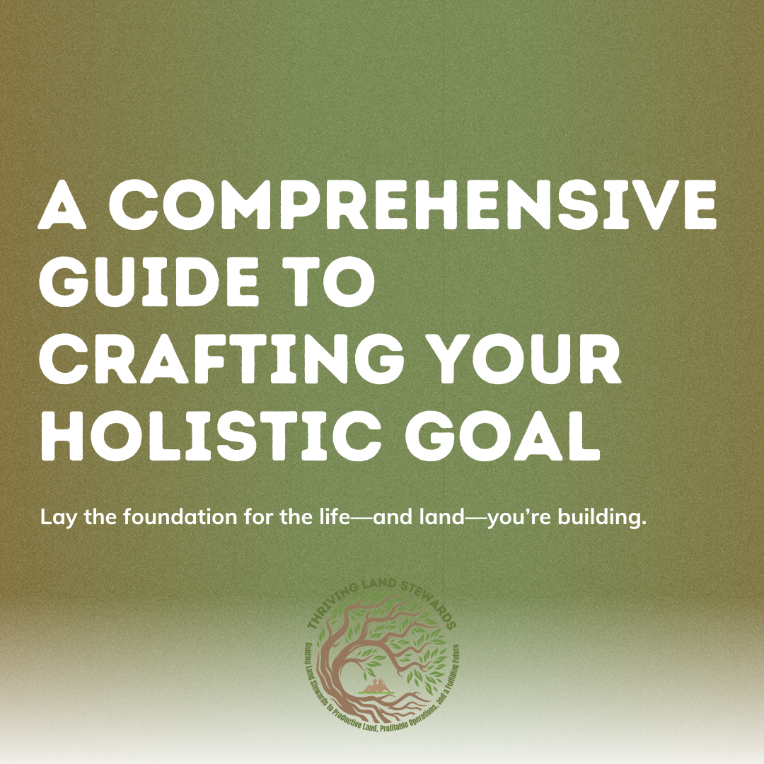 Teaching and consulting services using holistic management and ...