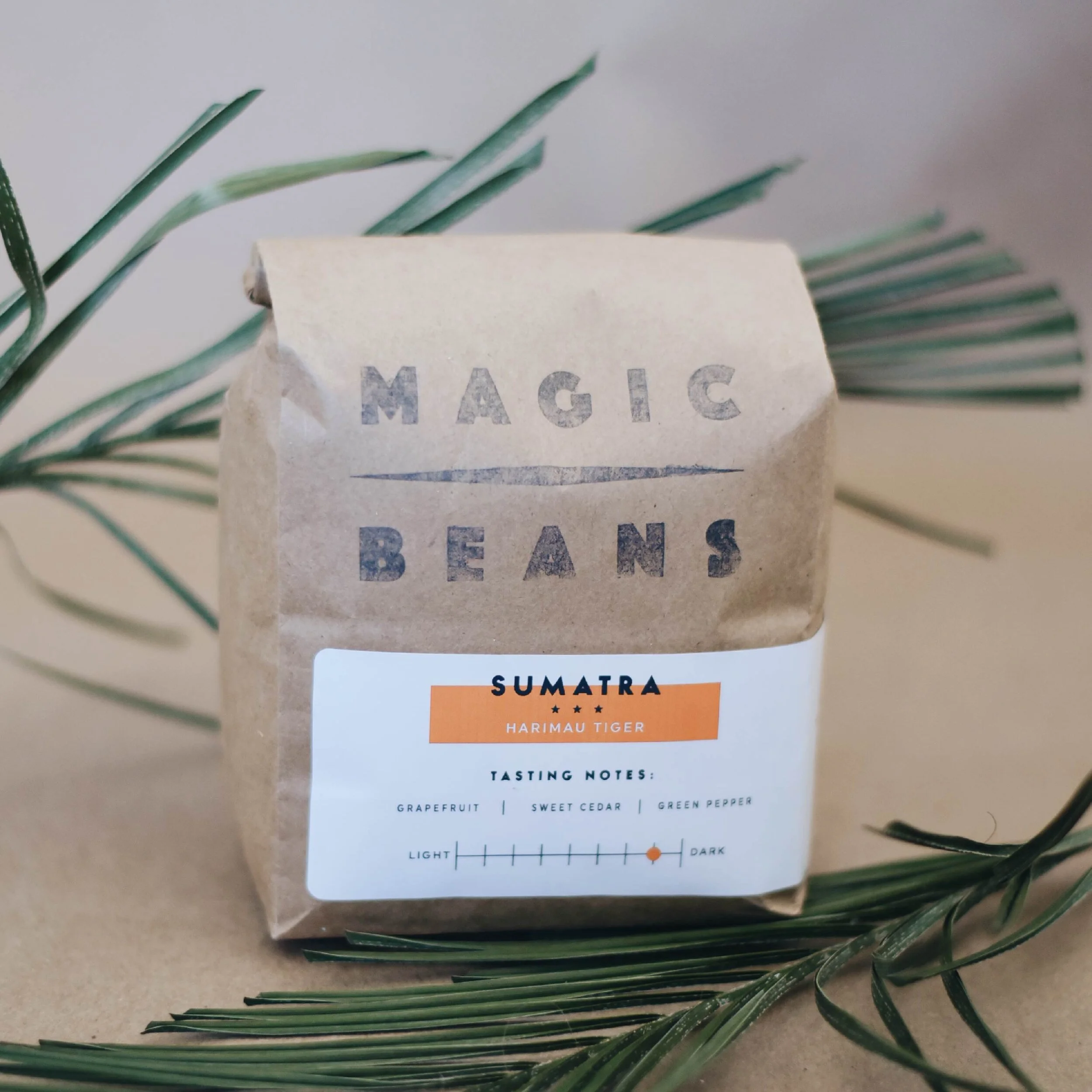 MAGIC BEANS COFFEE ROASTERS