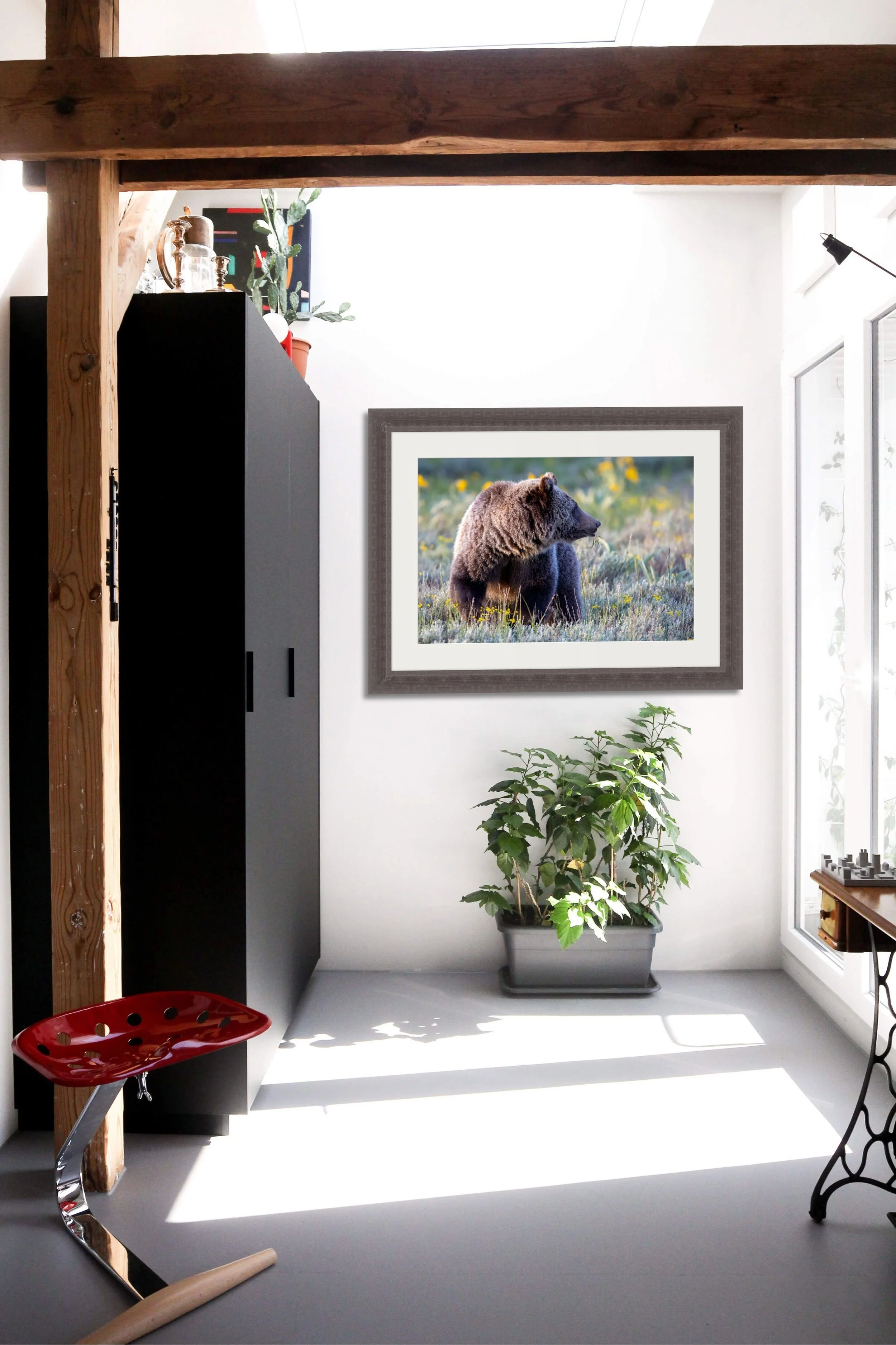 Devin Hillam Photography