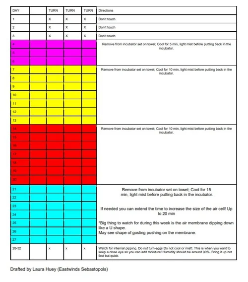 Incubation Cheat Sheet — National Sebastopol Geese Association