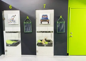 Dog Boarding Hotel | Long Beach, CA | Signal Hill, CA | — bark! bark ...