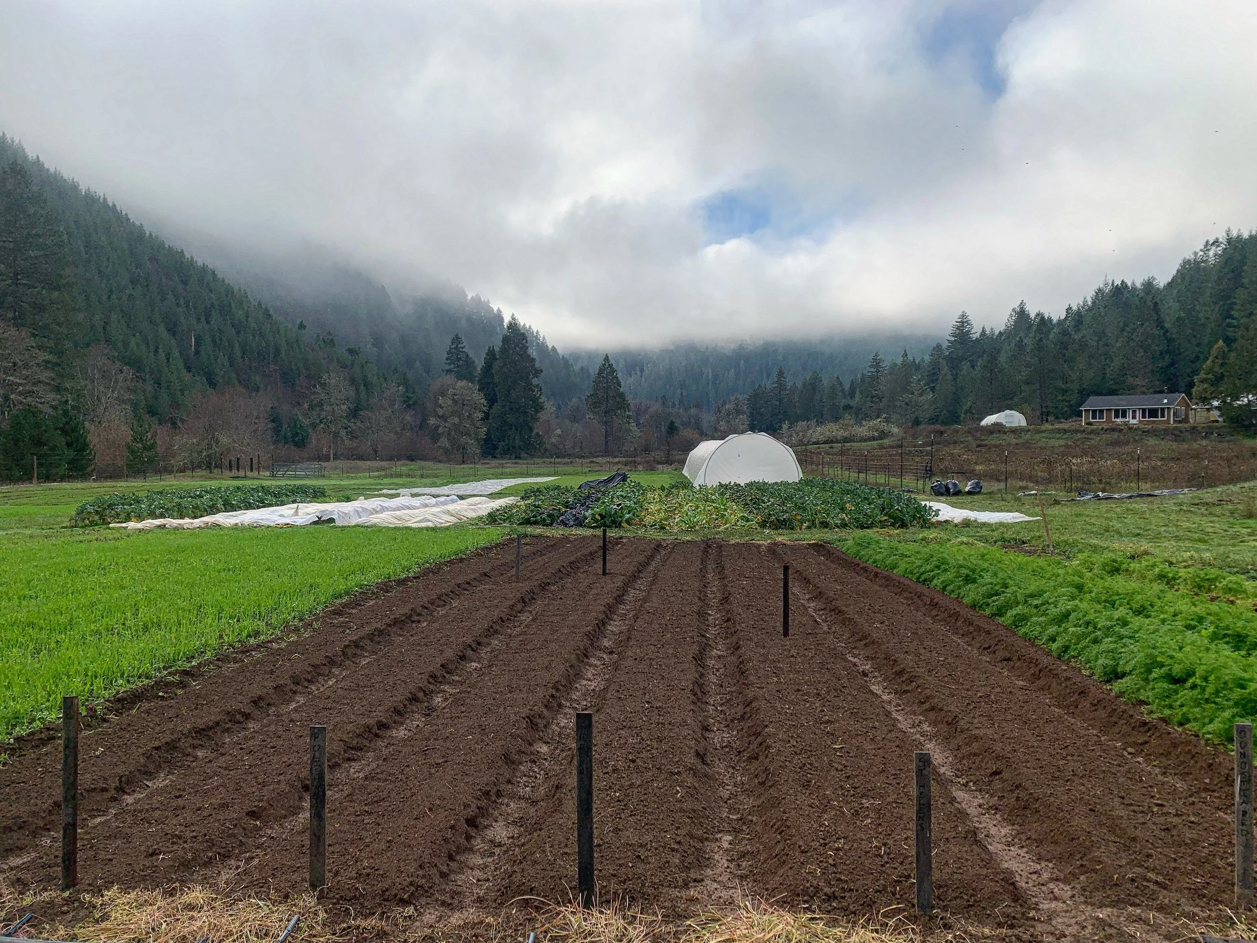 contact — harbinger farm