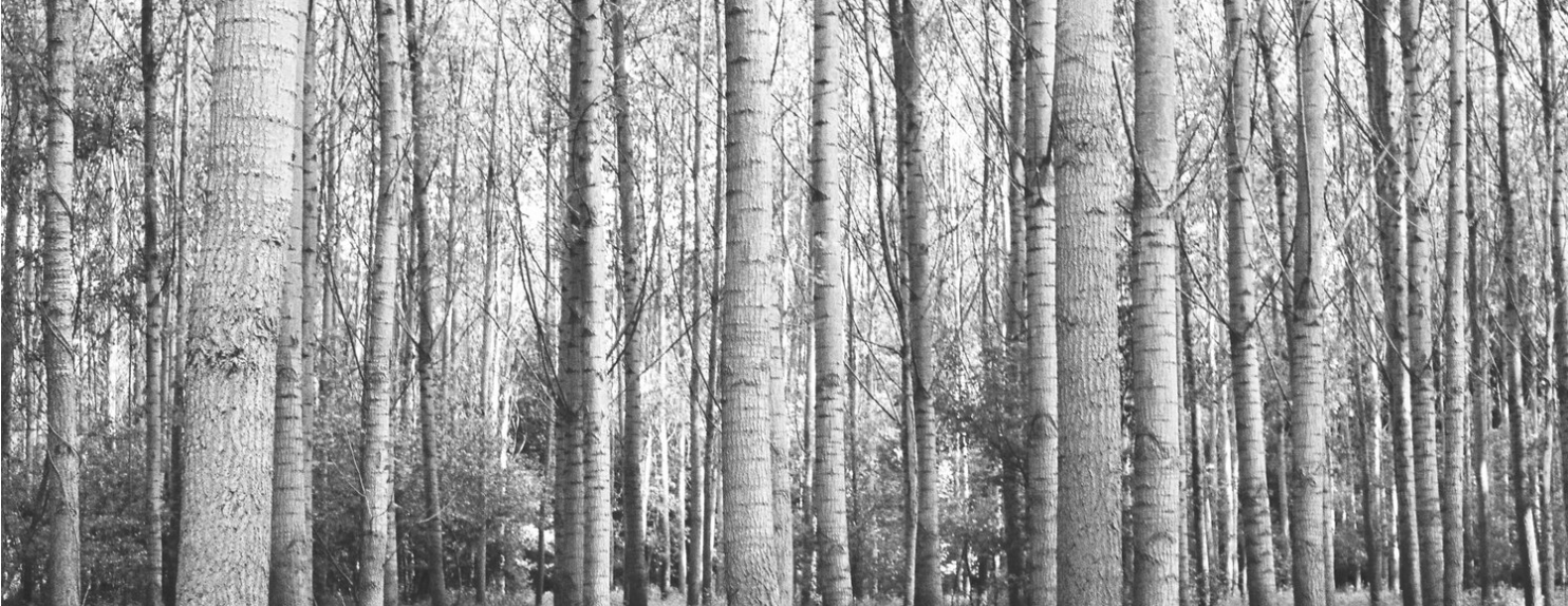 Authors — Cypress & Pine Publishing, LLC