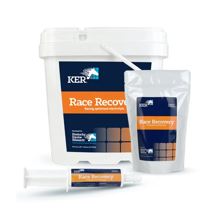 Shop — Little Oasis Equine Store