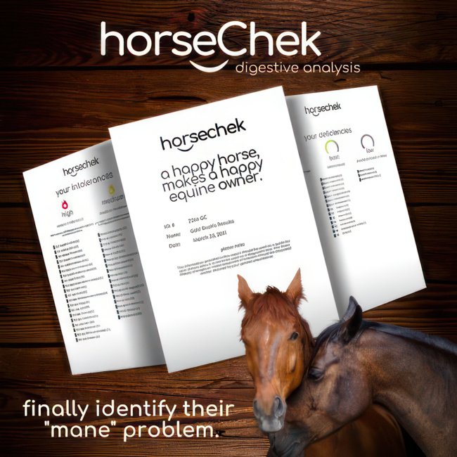 horseChek - Equine Food Sensitivity Hair Test
