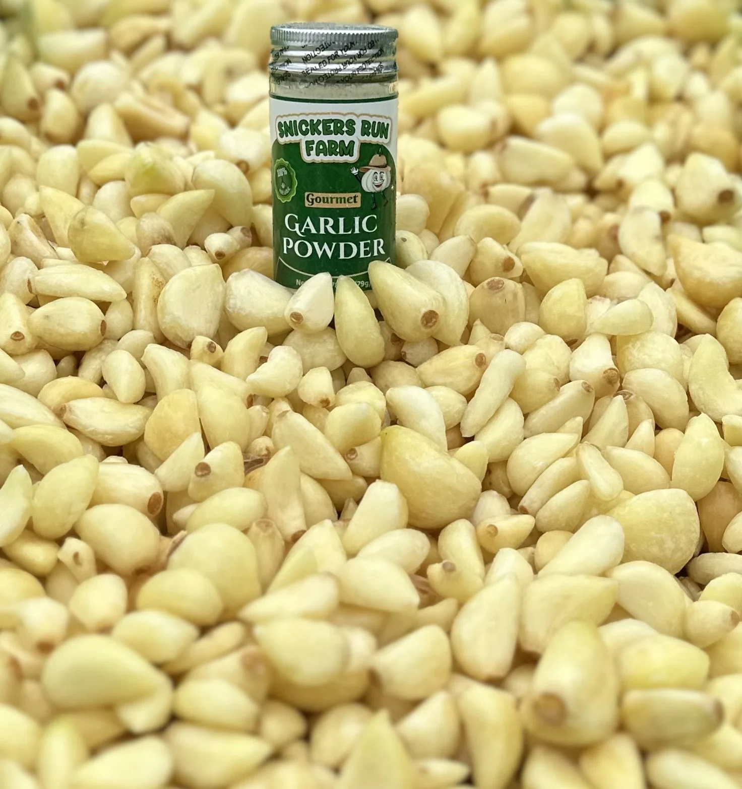 Buy Garlic — Snickers Run Garlic Farm