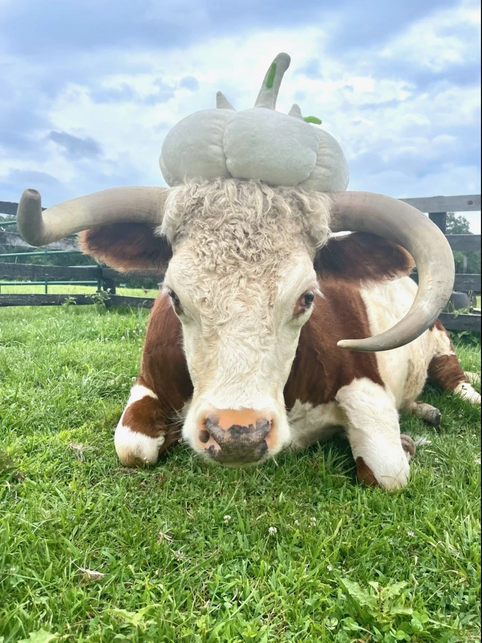 Snickers Run Garlic Farm