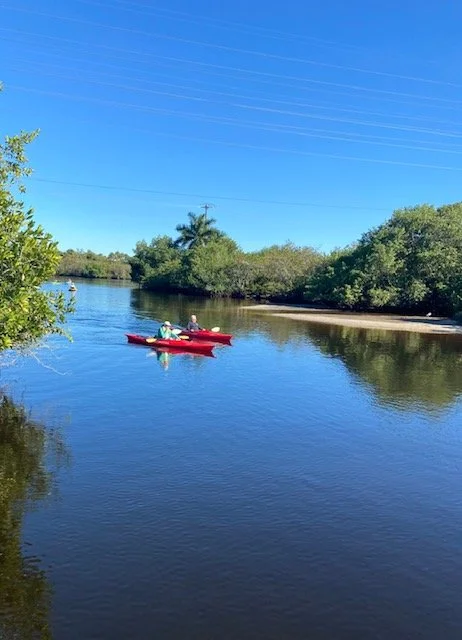 Discover Manatee Park: A Family-Friendly Place to View Manatees ...