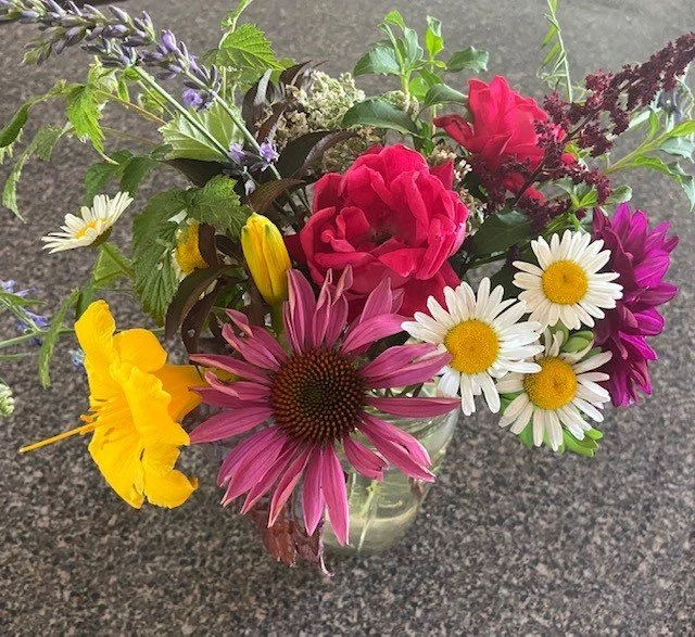 Starting a Cut Flower Garden: Beginner's Guide — discovering anew
